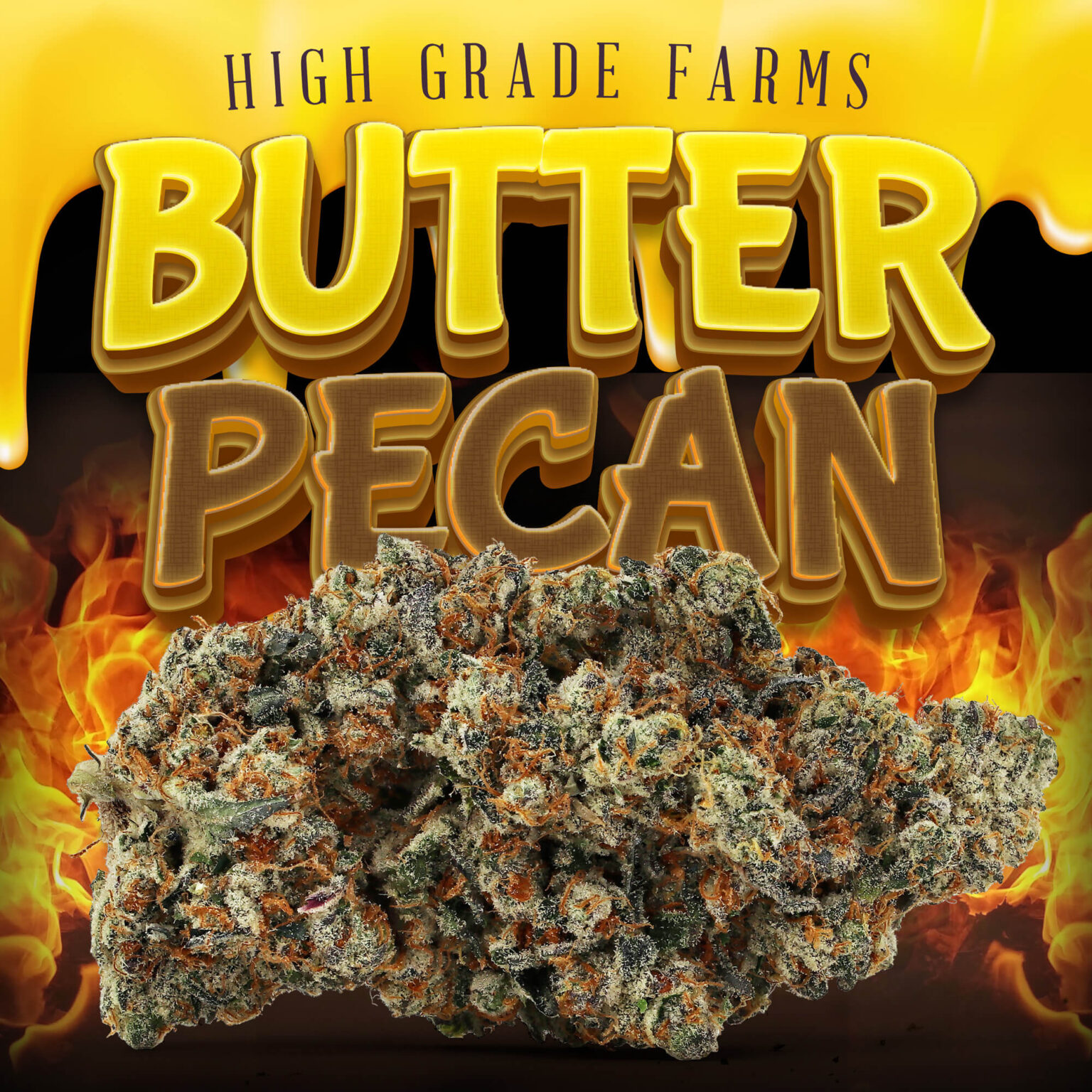 Bomb High Grade Farms Grape Gushers - Premium Indoor Craft Cannabis