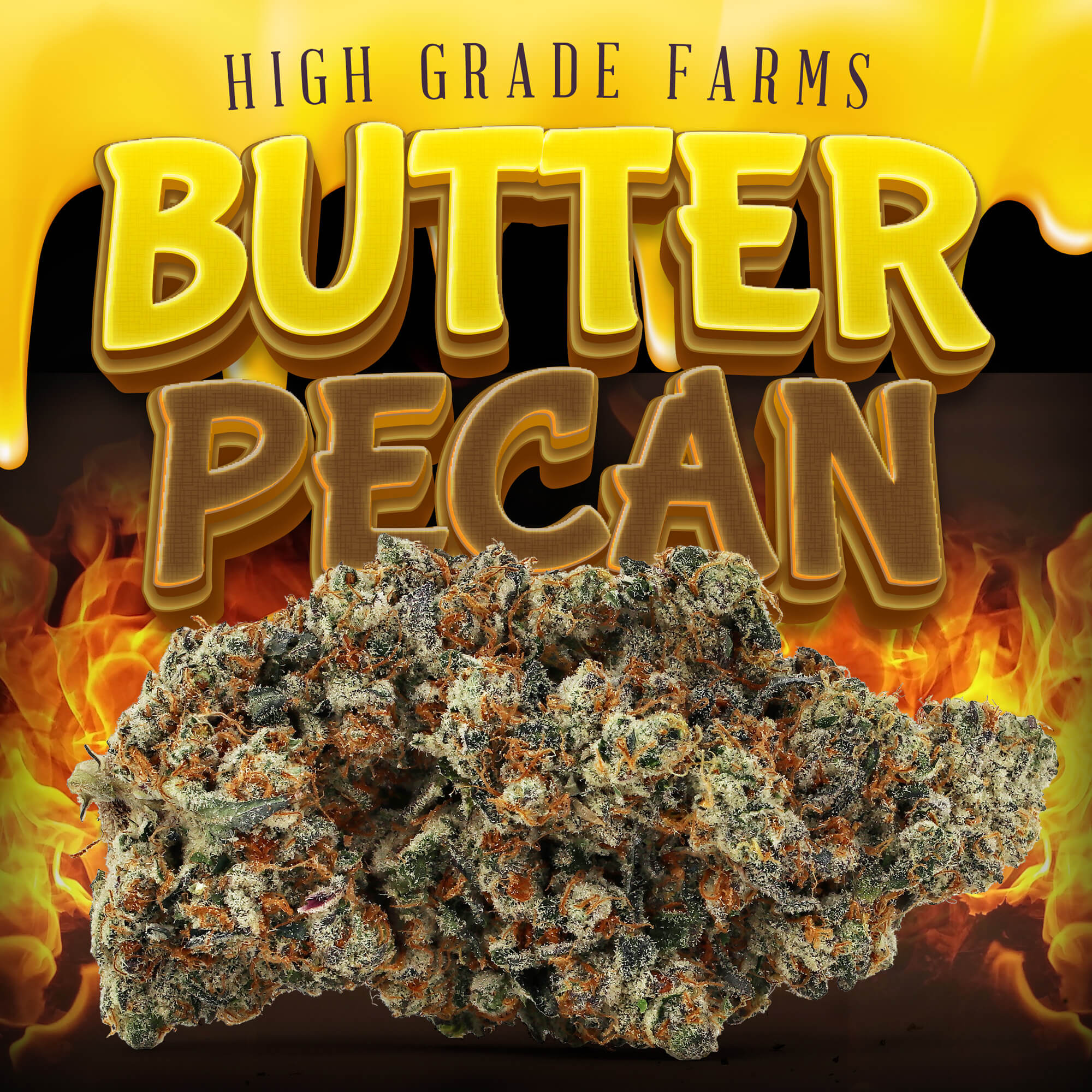 Delicious Butter Pecan- Premium Indoor Craft Cannabis